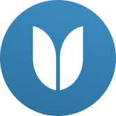 Bluum: Development + Marketing